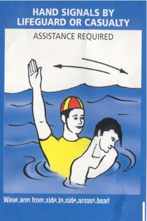 Induction to Beach Basics | Porthmawr Surf Life Saving Club